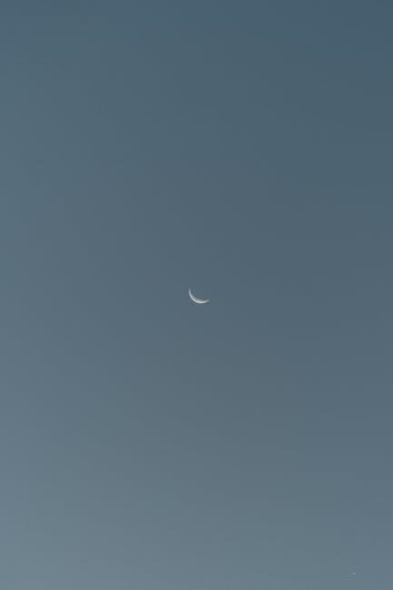 Download Twilight New Moon PDF - Read Online for Free